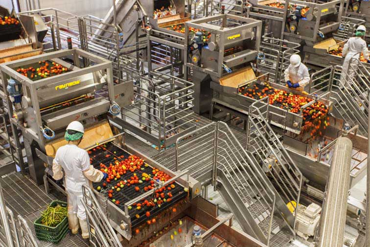 Exclusivo: Cargill adota protocolos adicionais de saúde e segurança ...